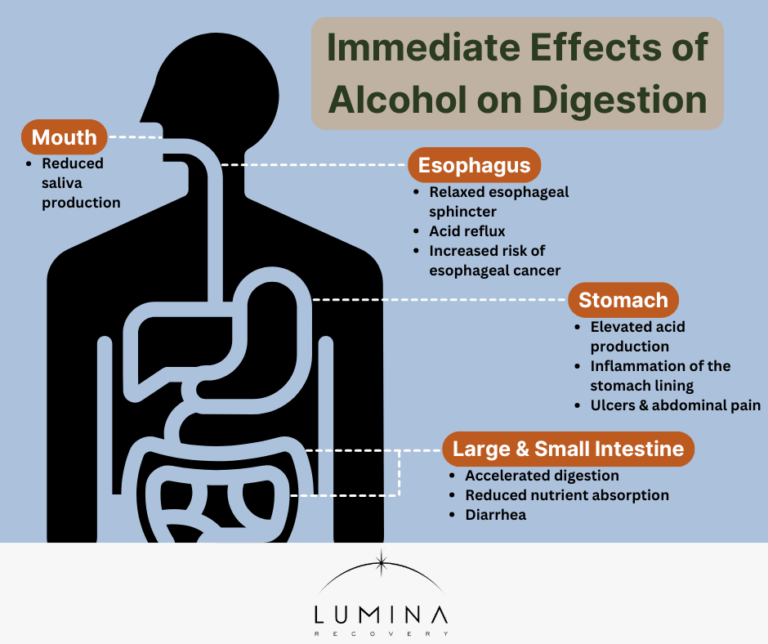 How Does Alcohol Affect the Stomach and Digestive System? - Lumina Recovery