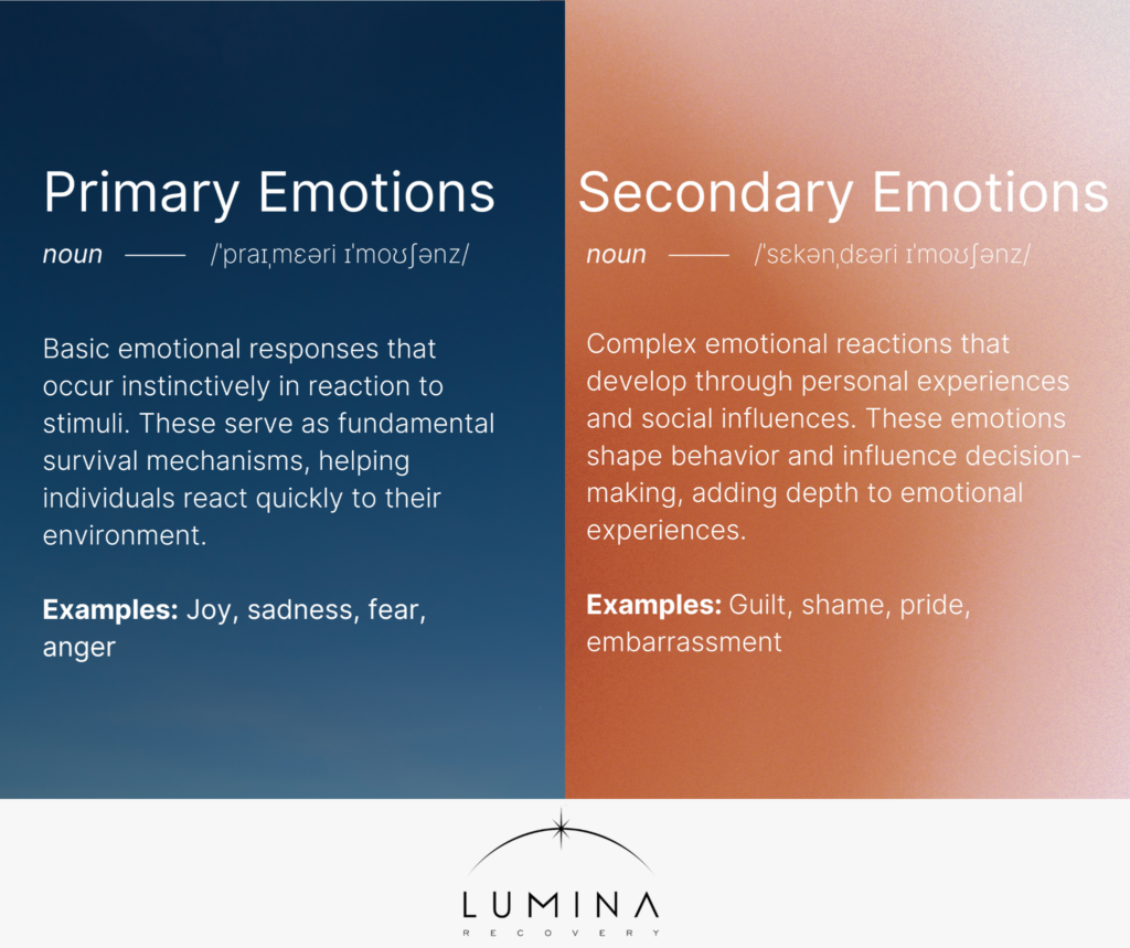 What Are Primary and Secondary Emotions in Addiction Recovery? - Lumina ...
