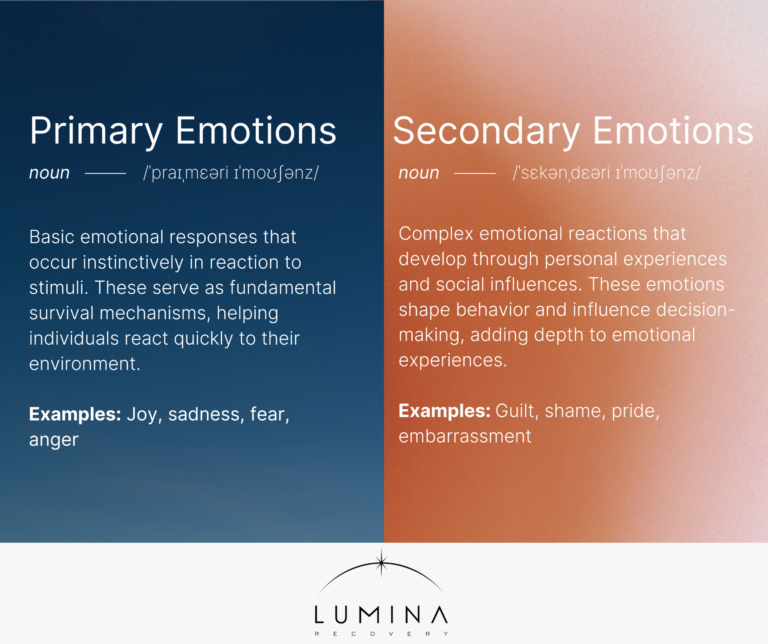 What Are Primary and Secondary Emotions in Addiction Recovery? - Lumina ...